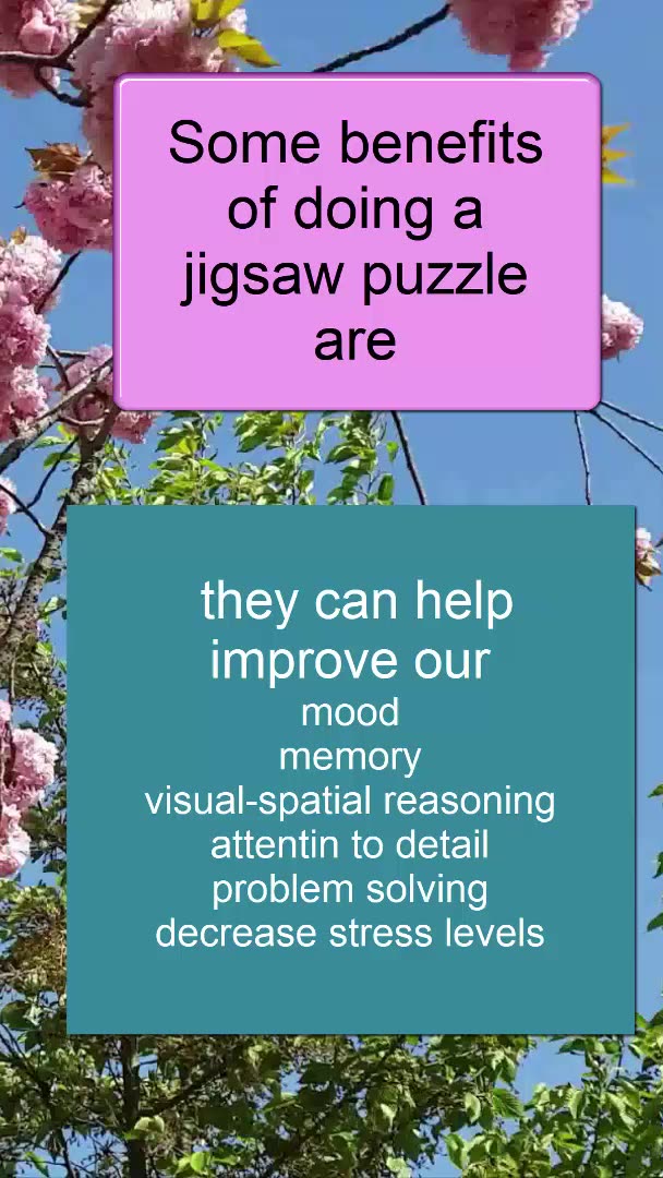 3 Parrot Puzzle: A Fun Bird Inspired Puzzle