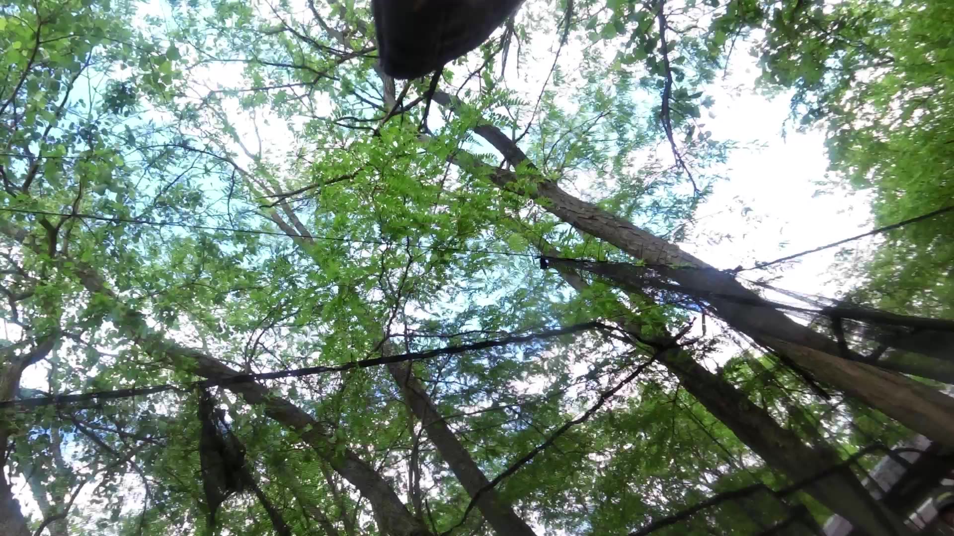 PAINTBALL PALLET FIELD