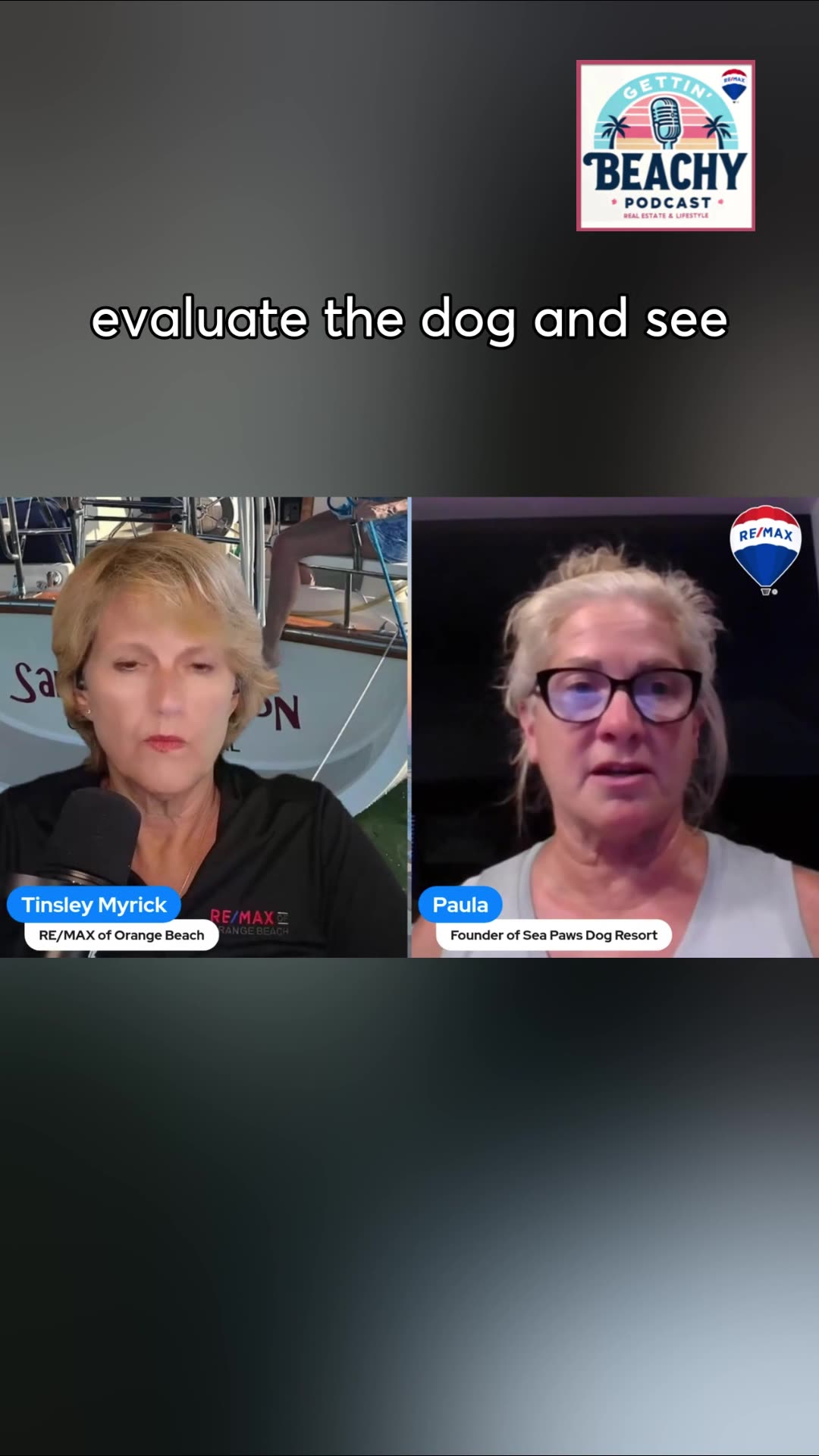 Sea Paws' Top Tips for Beach Boarding Your Dogs 🏝️🐾