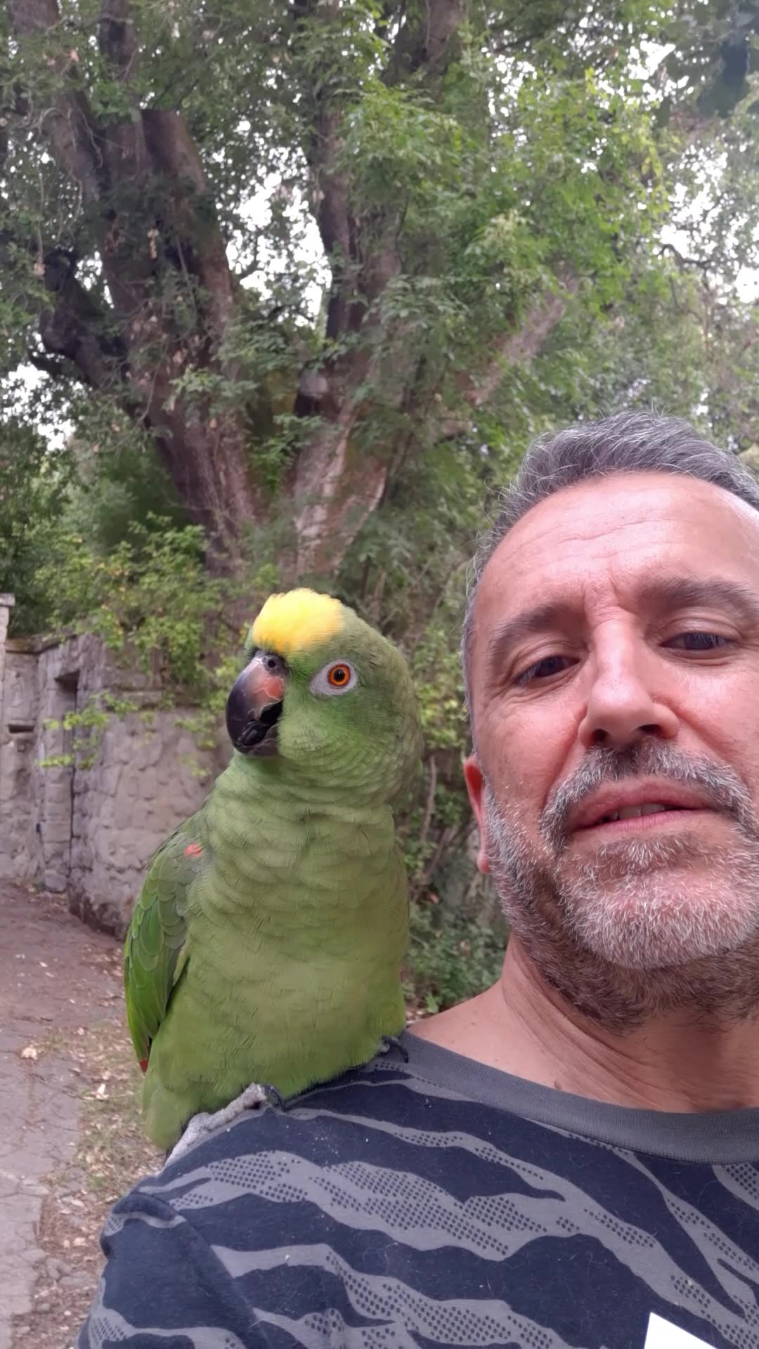Parrot Imitates Animal Sounds