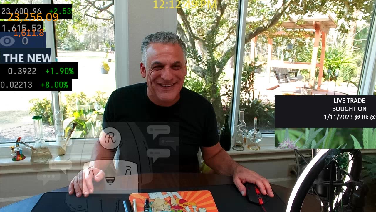 SLAP FIGHTING GETS 3M VIEWS IS ALL YOU NEED TO KNOW ABOUT HUMANITY'S ...