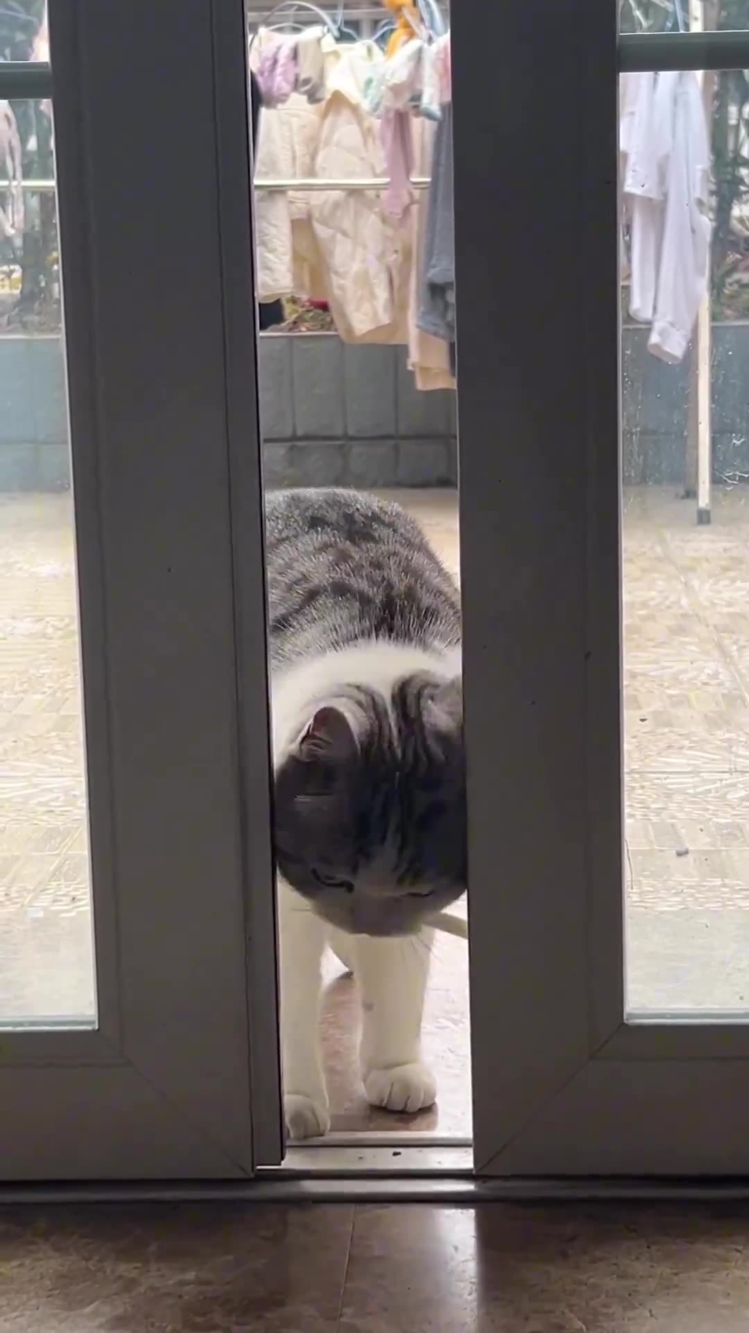 Day 19 on GOD's calendar, of 153 day count spring/summer Pentecost rapture