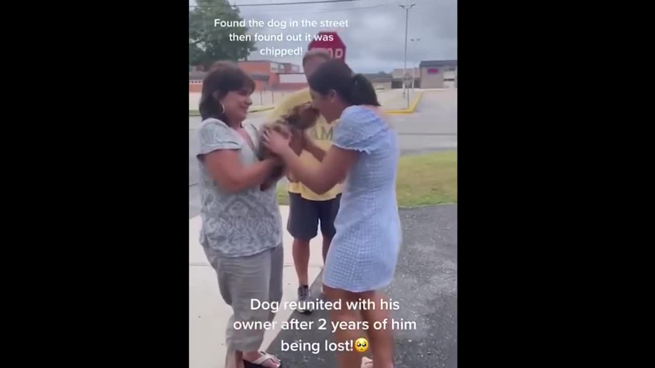 You must see this Animals Reunited With Owners AFTER YEARS!