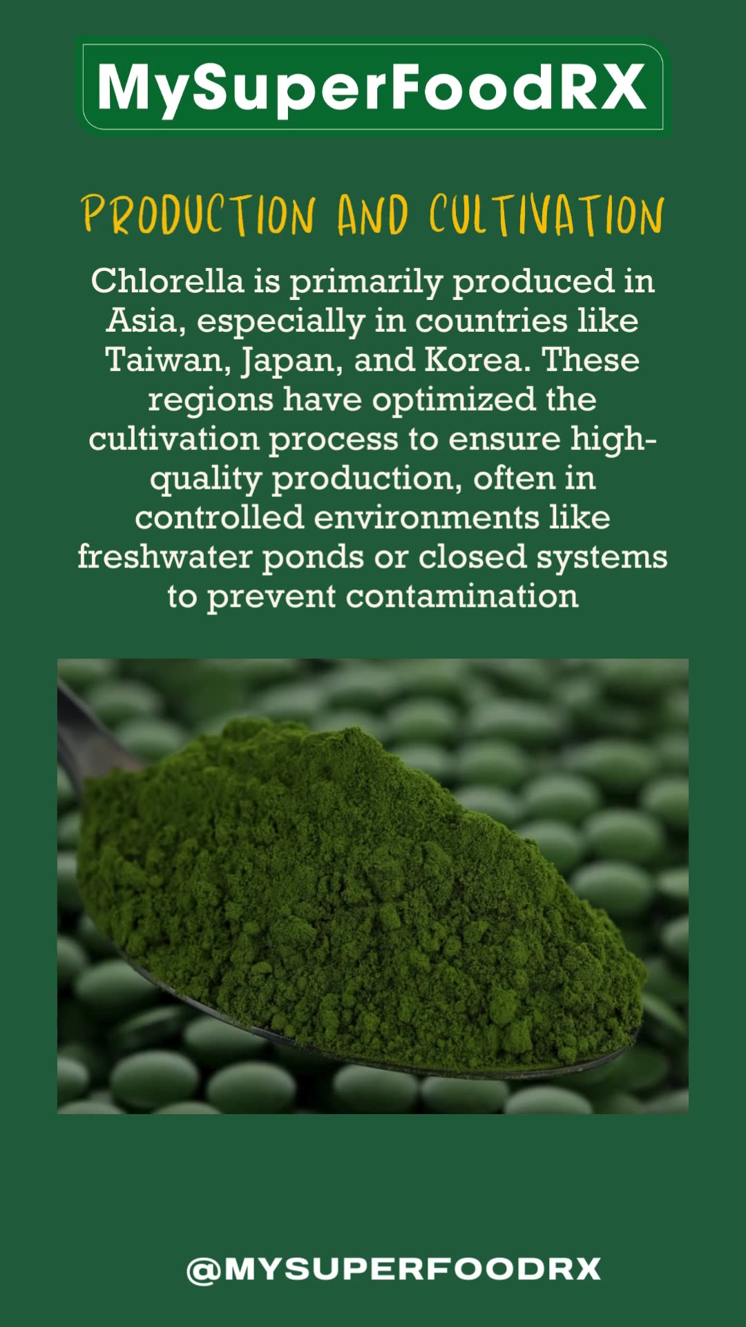 Production and Cultivation: Chlorella