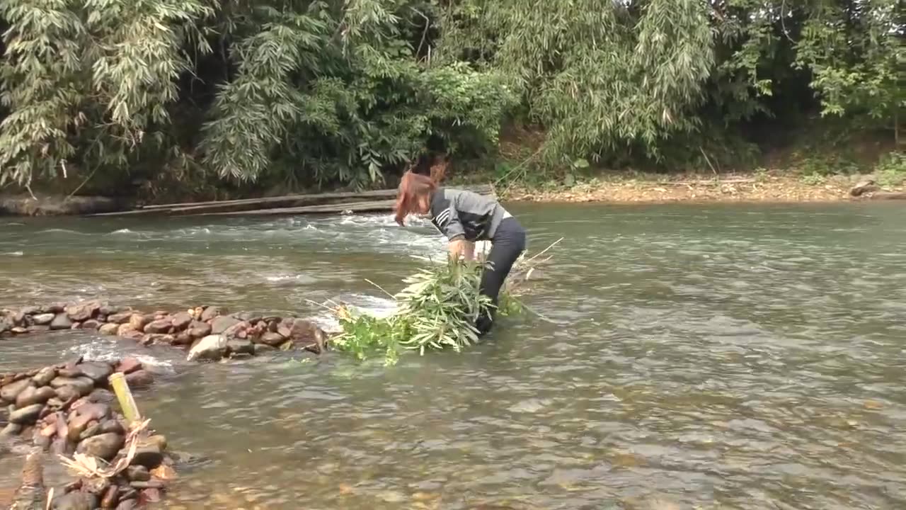 Building a system of traps to catch stream fish, Stone fish traps ...