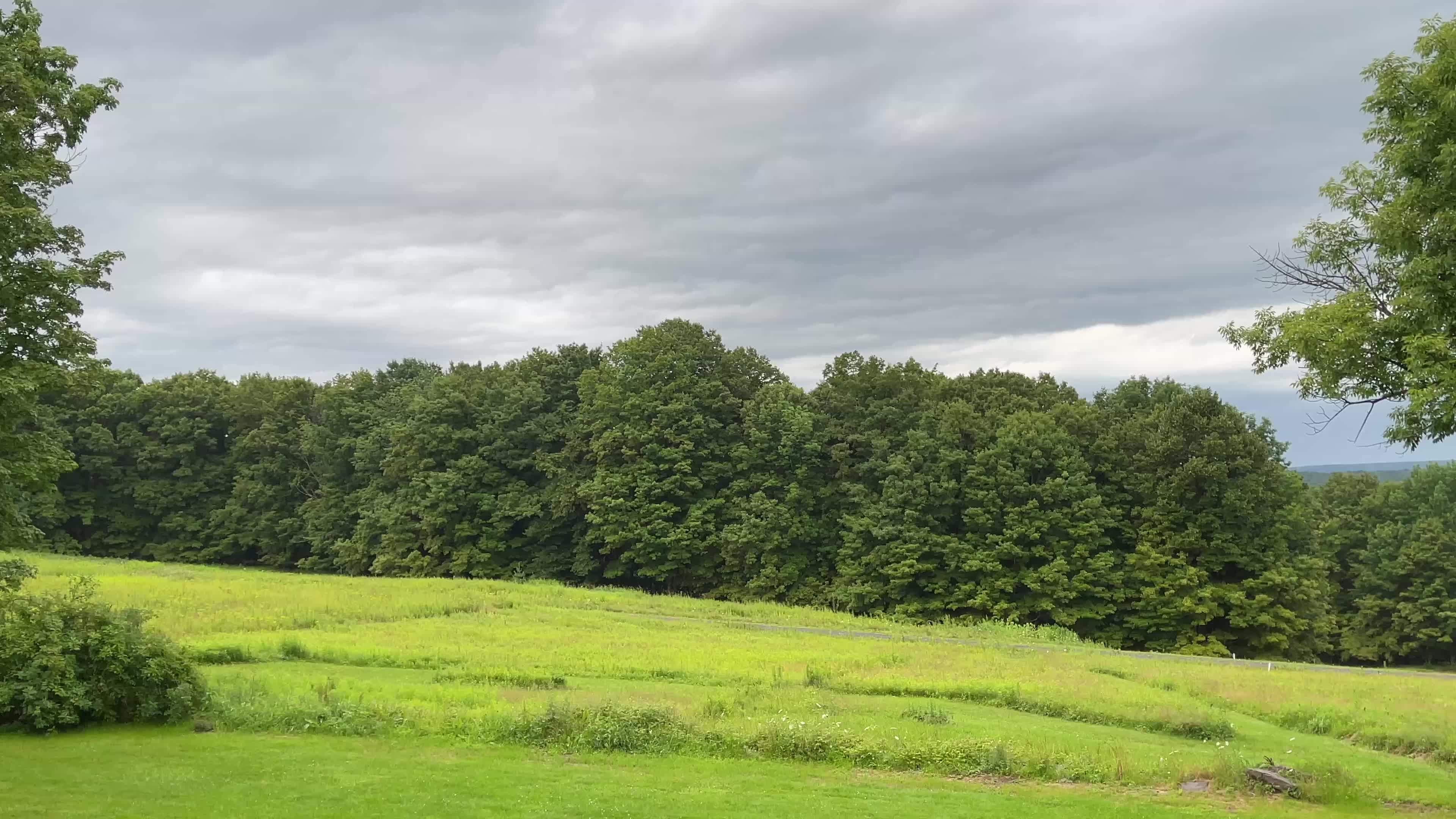 Outdoor OutSide Raining 30 minute Relaxing Calming Videos Long DayTime ...