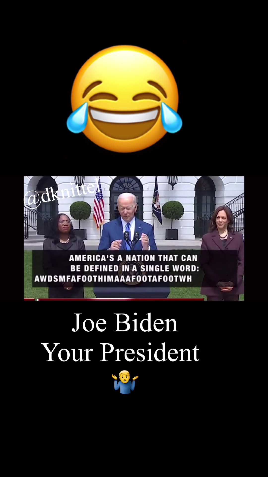 America is a Nation that can be defined in a single Word