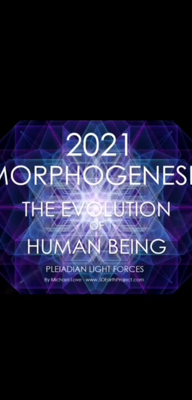 Morphogenesis 101