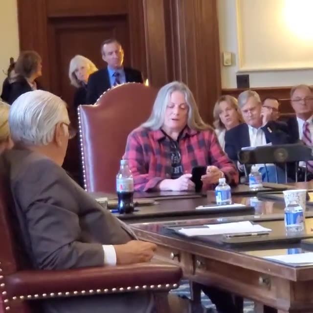 Julie Smith testifies in opposition to the nomination of Anne Edwards ...