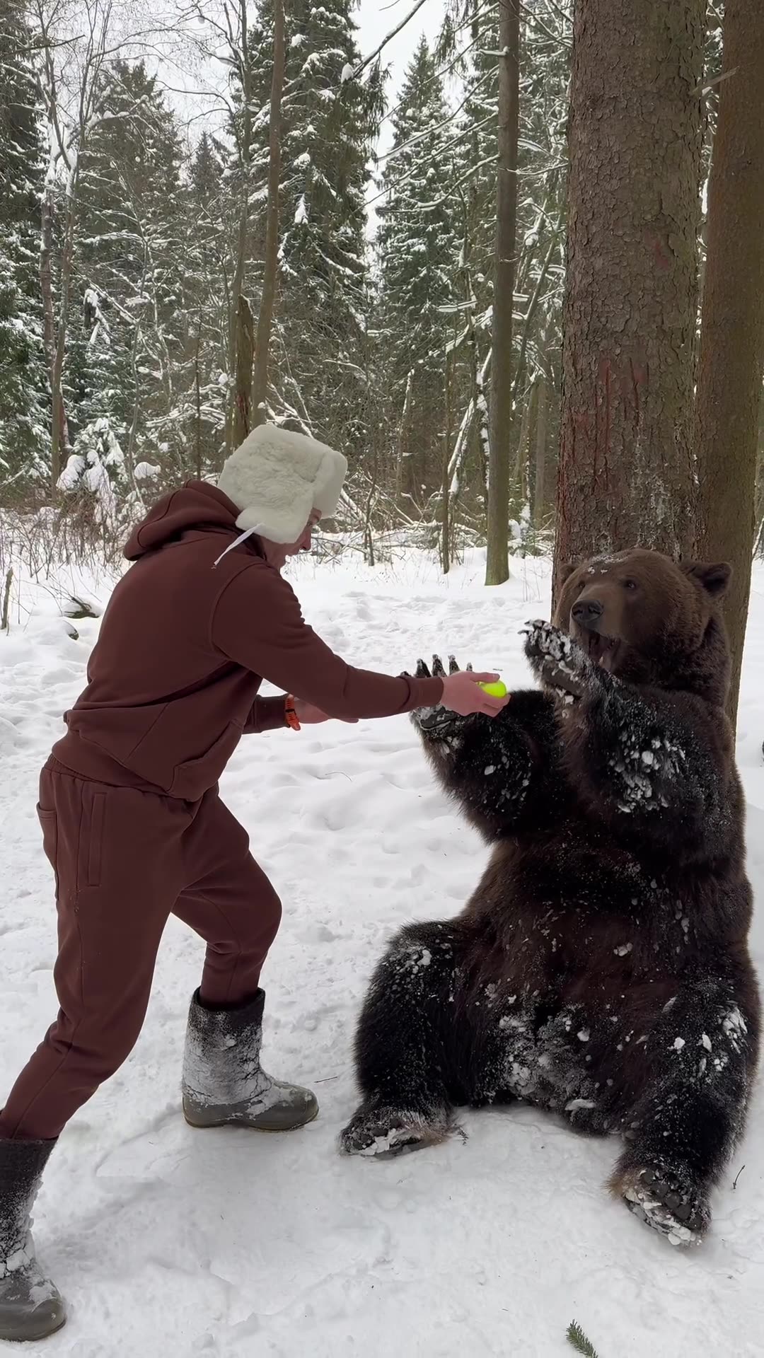 Man Entertains Bear By Juggling