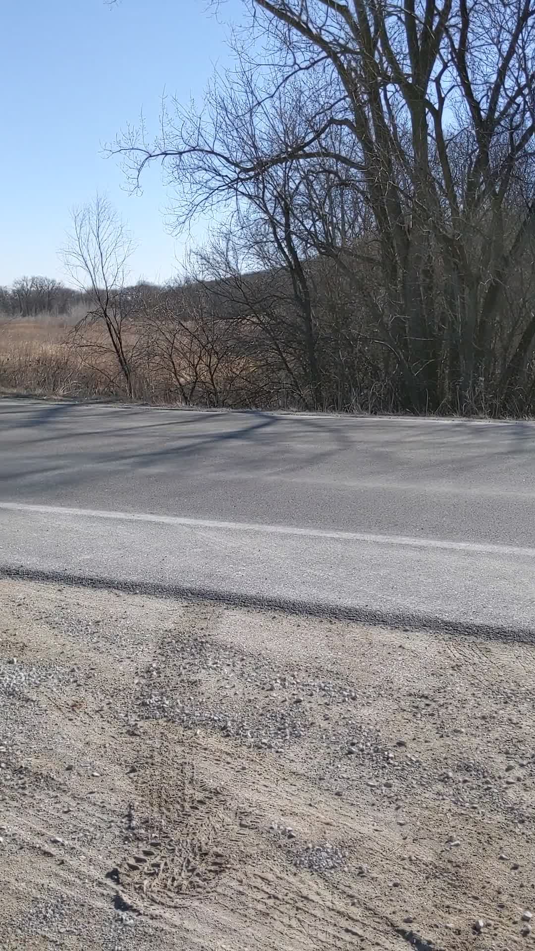 Bonnie and Clyde Dexfield Park Shootout