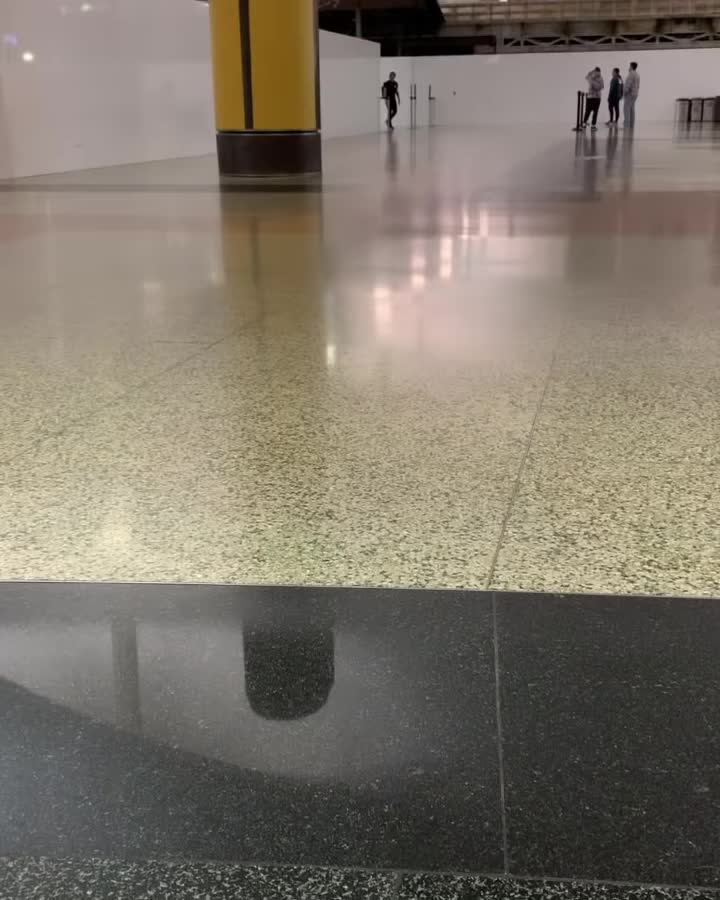 Super Excited Doggo Dives in for Airport Reunion || Viral Video