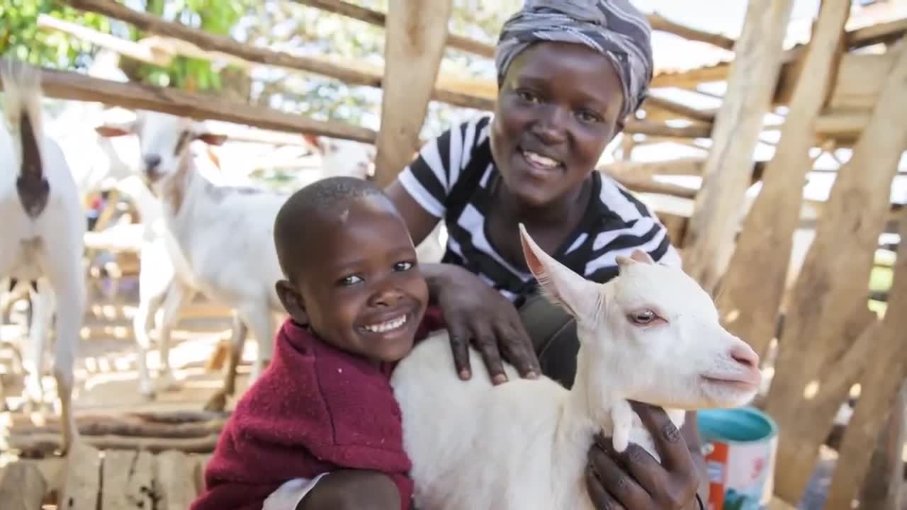 Heifer Project International - Overview