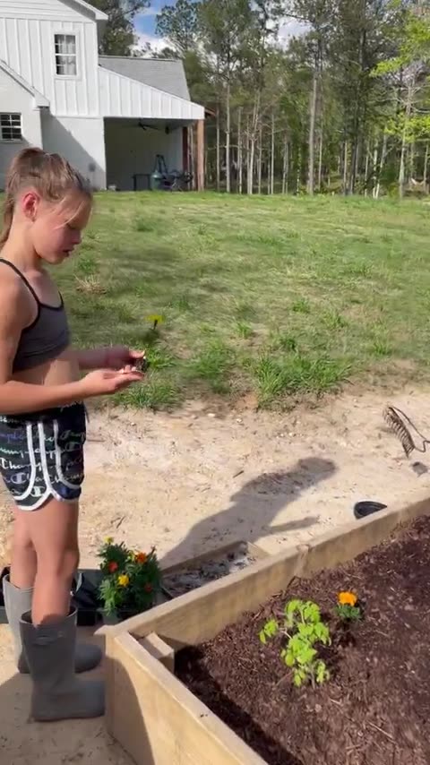 Education and school: Radically altered children with artificial peer ...