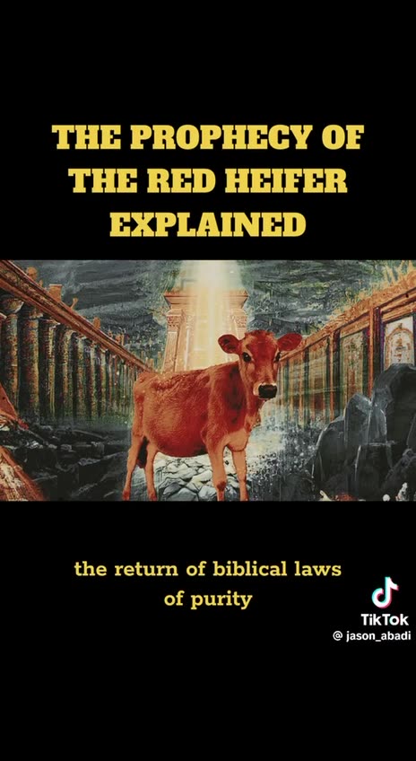 Prophecy Of The Red Heifer Explained | April 22,2024