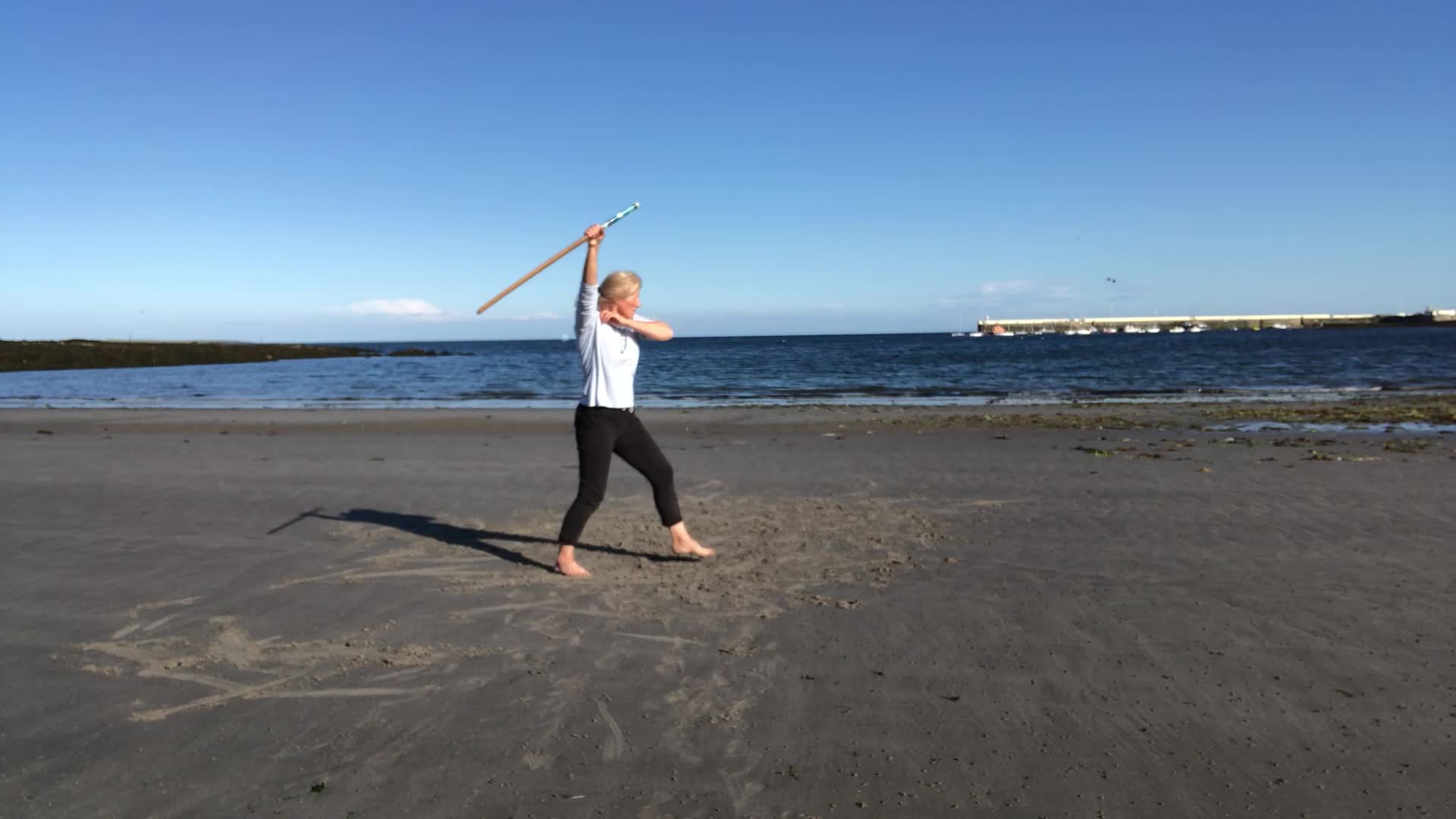 Sain-Geom Competency Cuts #11 and #12