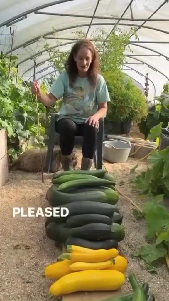 Better way to grow Crops with Copper Wire