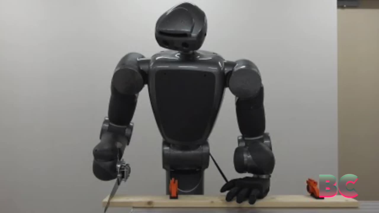 Torobo humanoid robot accurately hammers nail, shows potential for ...