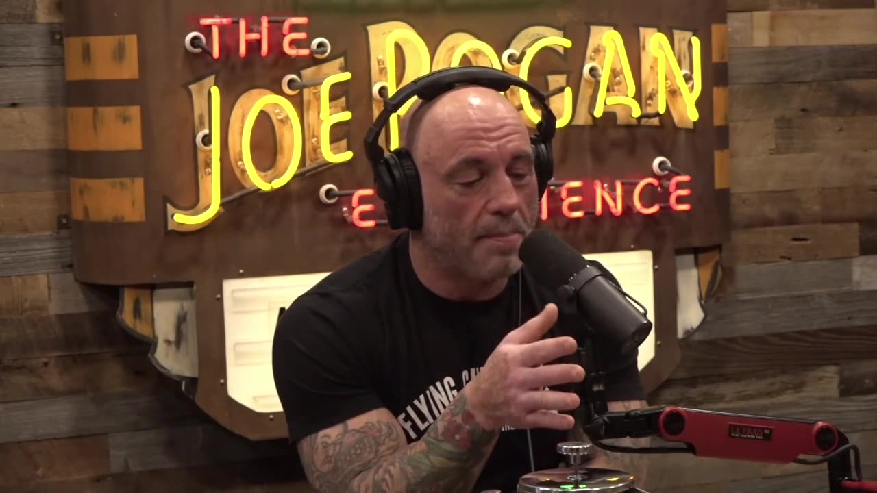 Joe Rogan & Steven Meyer Discuss God, Free Will, and Determinism, & a ...
