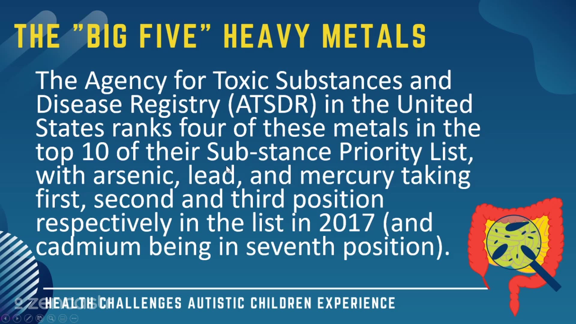50 of 63 - The Big Five Heavy Metals - Health Challenges Autistic ...