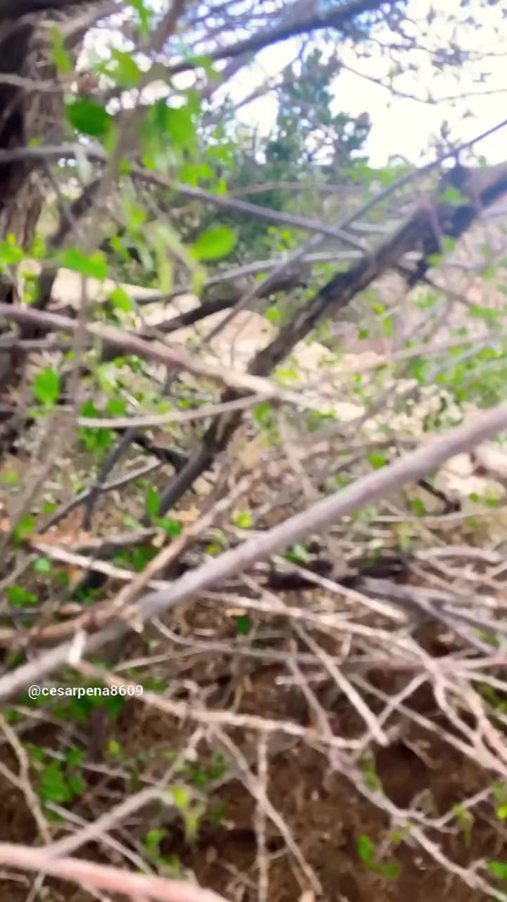 At the Grand Canyon!!!