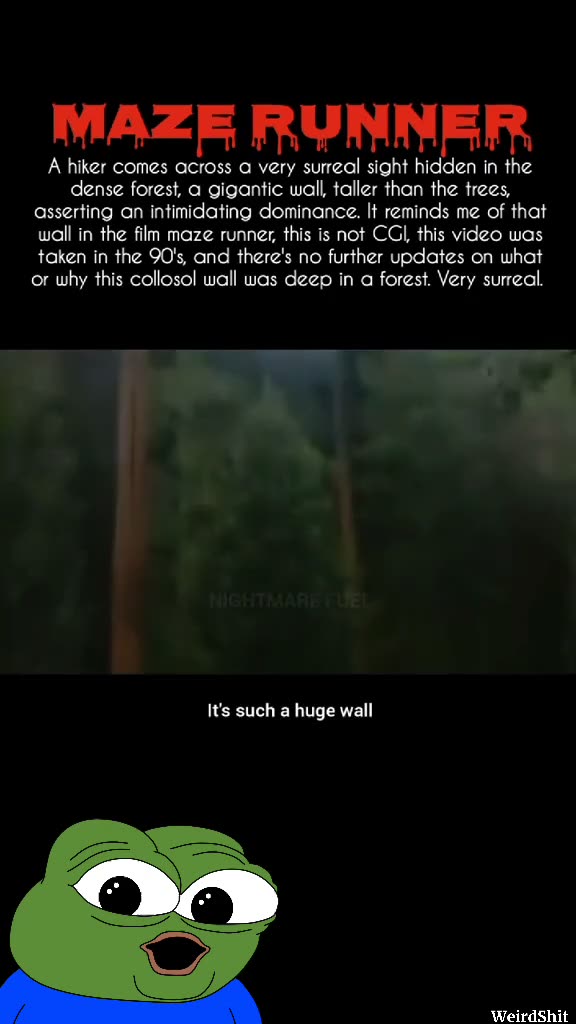 MAZE RUNNER WALL IN FOREST ~A HIKER COMES ACROSS A VERY SURREAL SIGHT ...