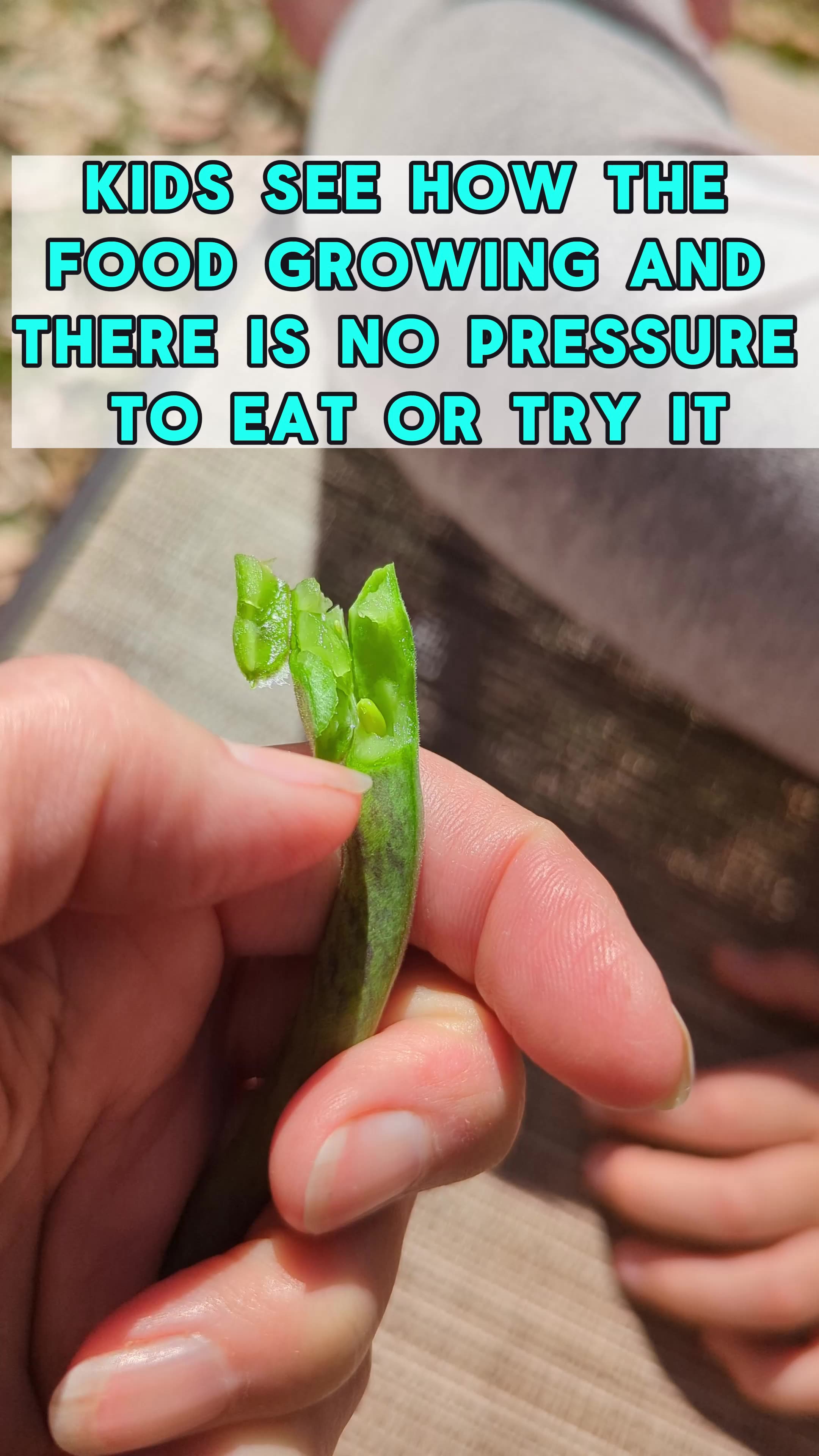 From PICKY to ADVENTUROUS: Watch My Child Try Green Beans! Winning the ...