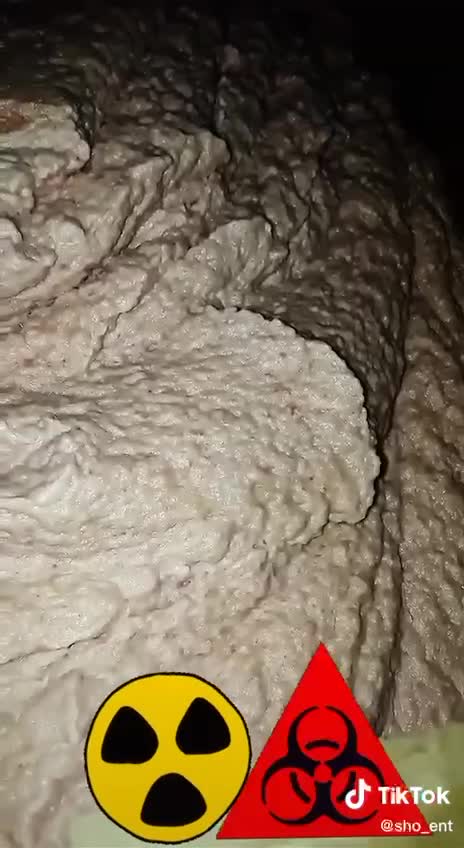 Disgusting, McDonald’s Chicken Nuggets..