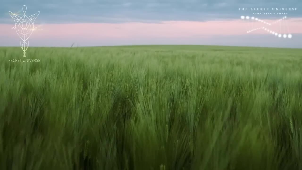 𝐈𝐓'𝐒 𝐆𝐎𝐍𝐍𝐀 𝐁𝐄 𝐌𝐀𝐒𝐒𝐈𝐕𝐄!! 𝐘𝐎𝐔 𝐒𝐄𝐄 𝐓𝐇𝐄 𝐋𝐈𝐆𝐇𝐓 𝐌𝐀𝐆𝐈𝐂