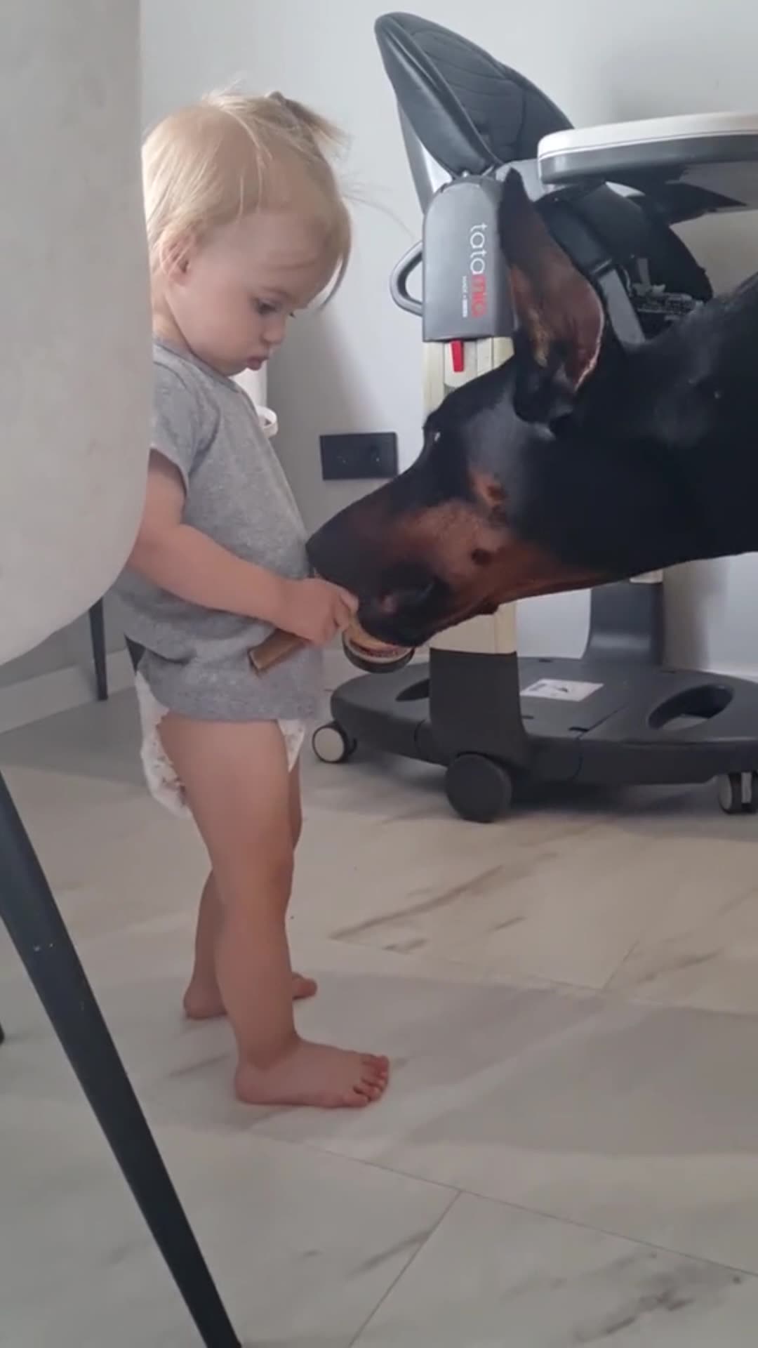 Baby Quality Tests Dog Bone