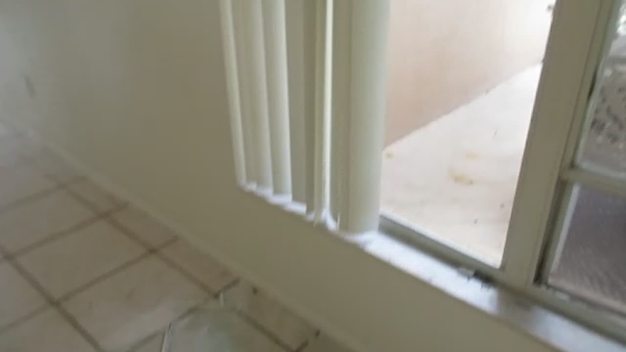 WINDOW SPRINGS