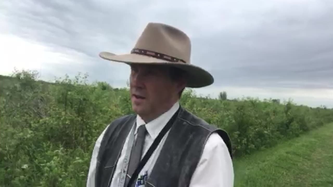 The 51 Intelligence Officers Committed Sedition with the Intent to ...