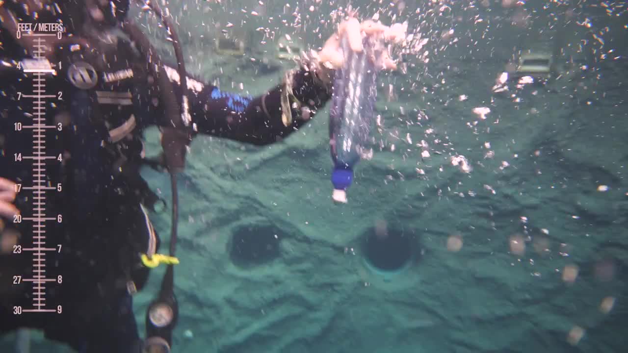 What Happens Inside Your Ear During A Scuba Dive?! | Equalizing Ears ...