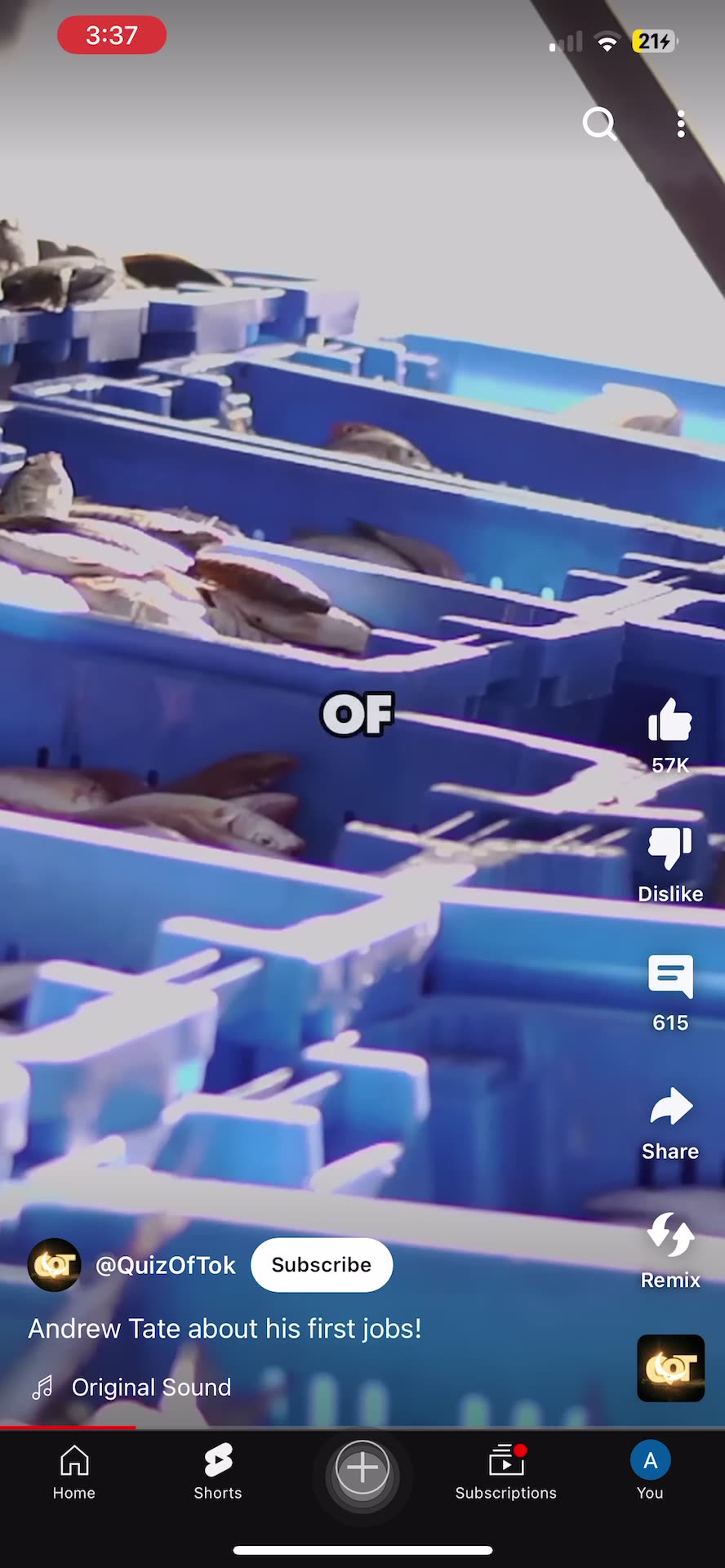 Andrew Tate and His First Couple of Jobs #viral #fyp #andrewtate