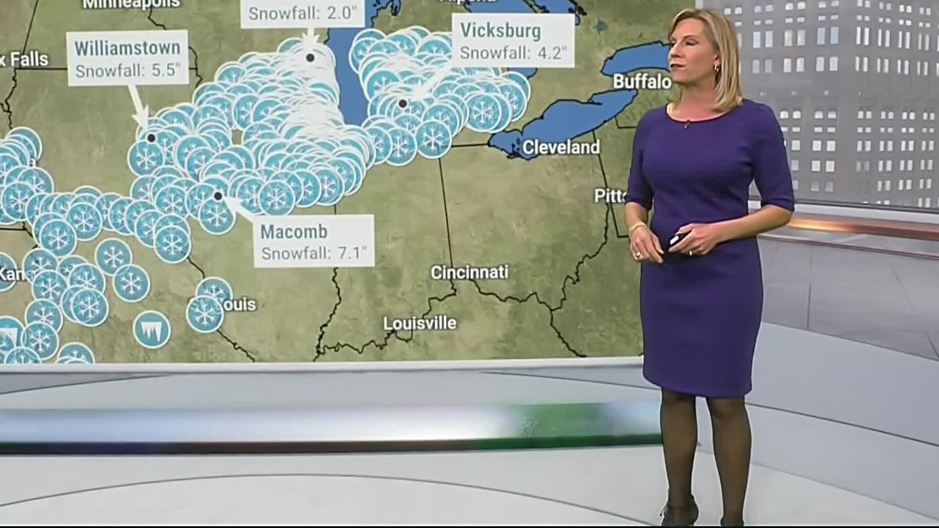 Jacqui Jeras - The Weather Channel - 010222 Purple Dress - Profile View ...