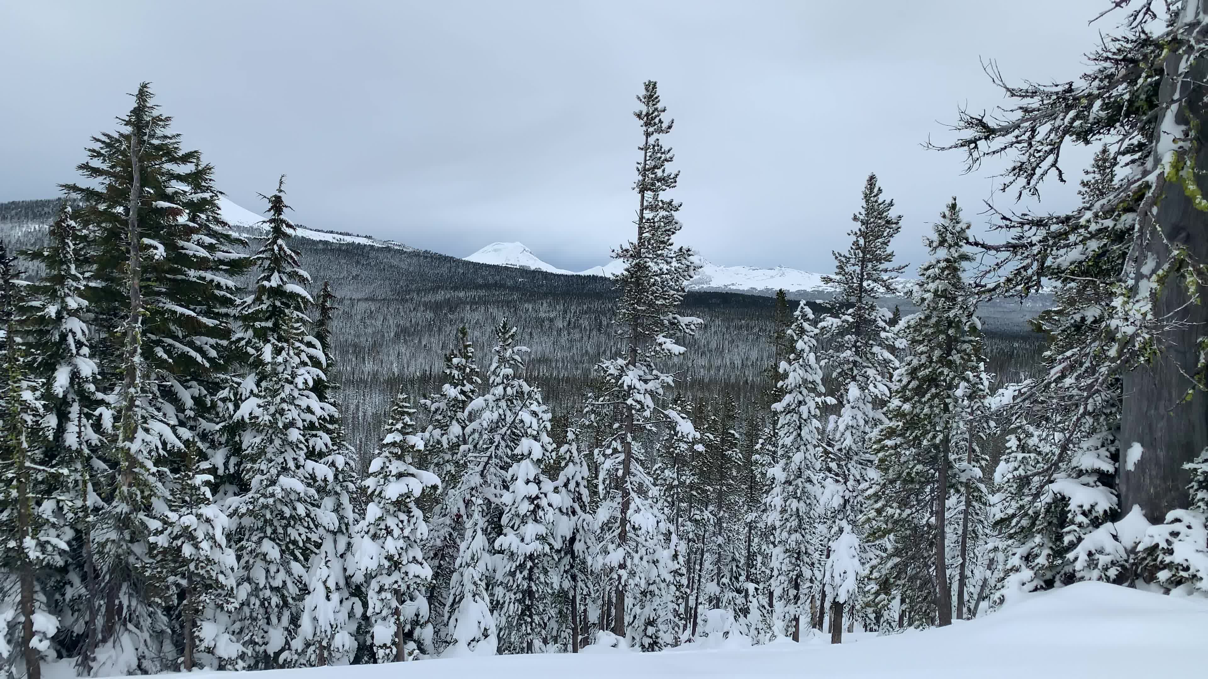 Spectacular Summit Views of Mount Bachelor – Central Oregon – Vista ...