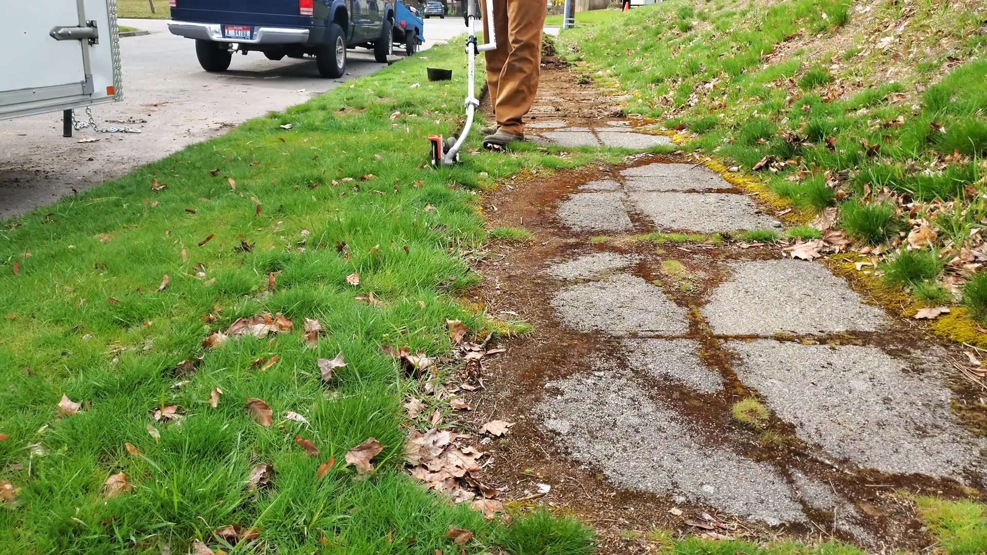 OVERGROWN Sidewalk Edge NEGLECTED For 50 YEARS Gets A FREE Makeover ...