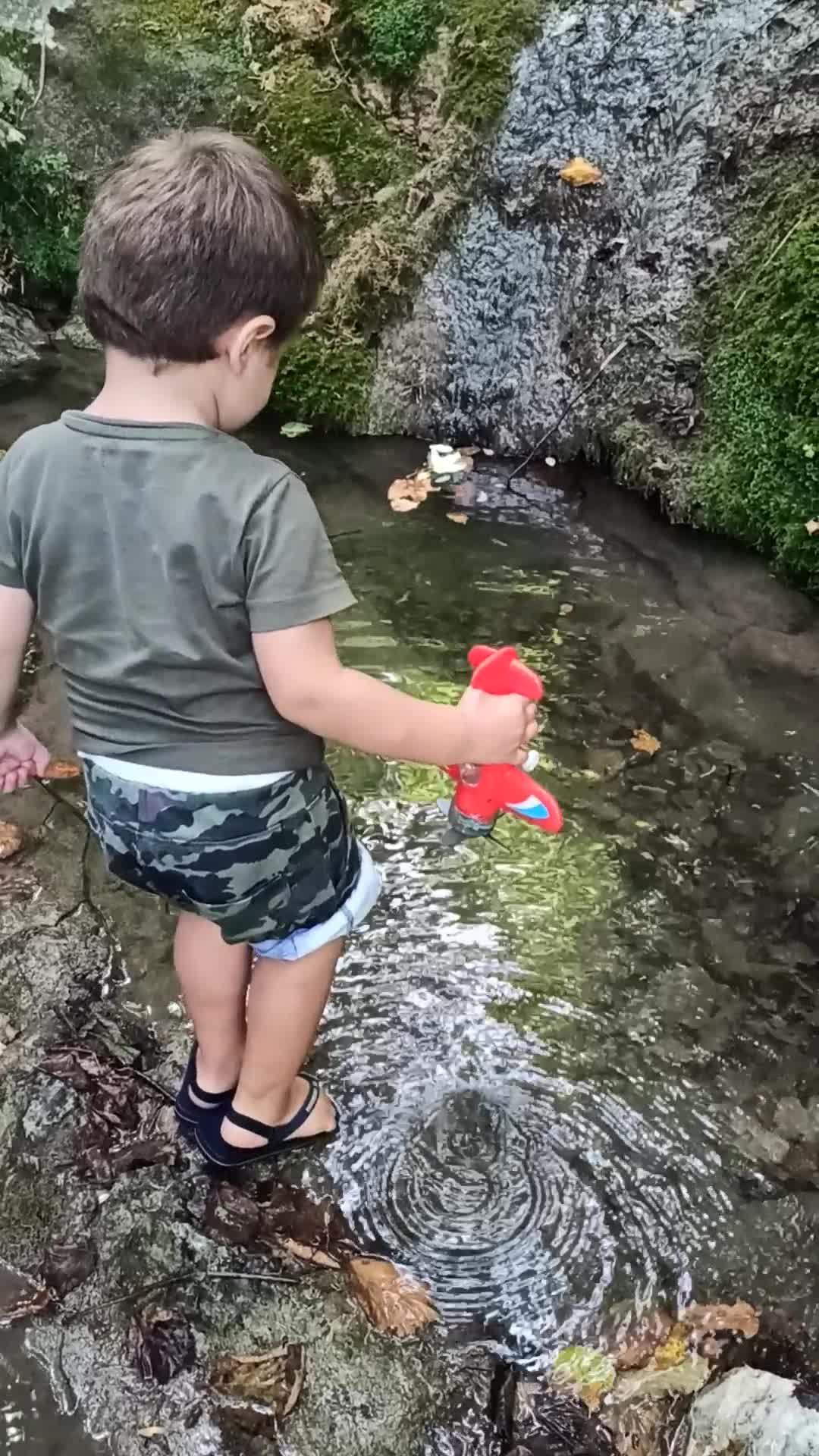 Little Boy Falls in Pond