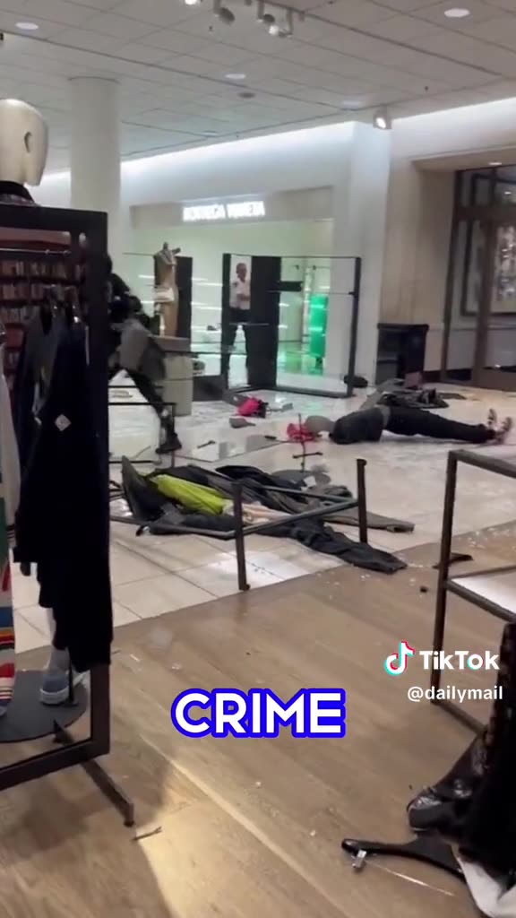 "FLASH ROB MOBS" Are On the Rise