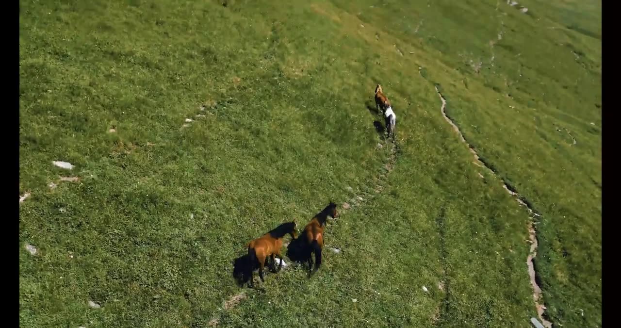 Relaxing Music & Amazing Beautiful Nature Scenery For Stress and Sleep ...