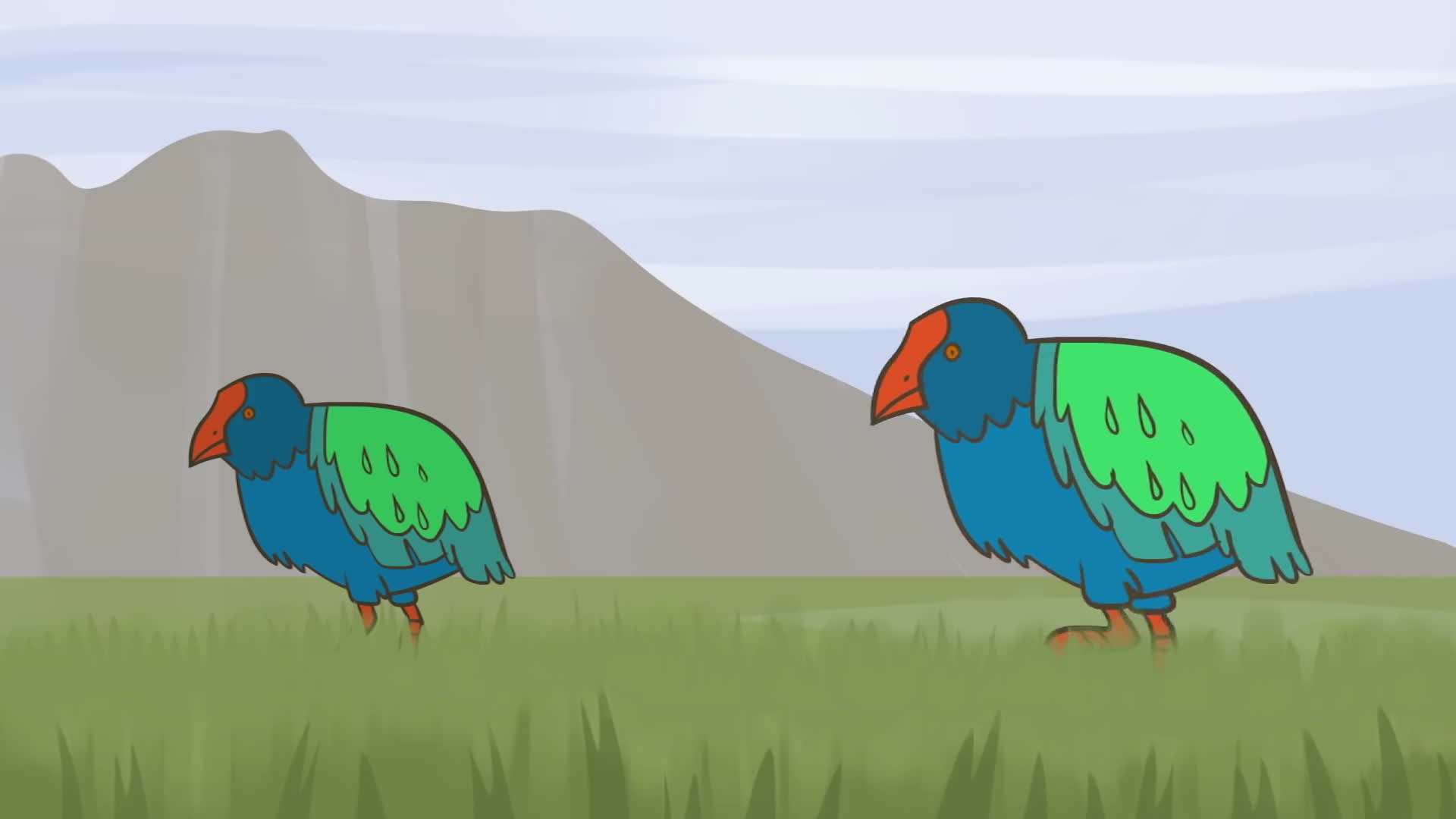 Why can't some birds fly - Gillian Gibb