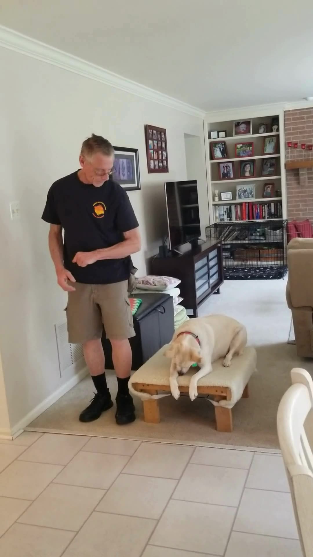 Sophie and the Stay cue and close distance