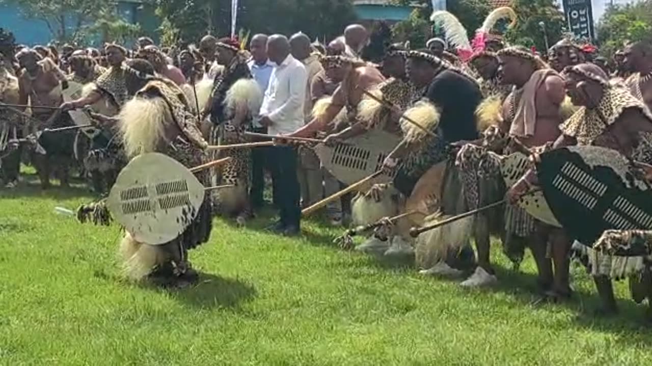 Zulu regiments showcasing their traditional dancing skills. Video ...