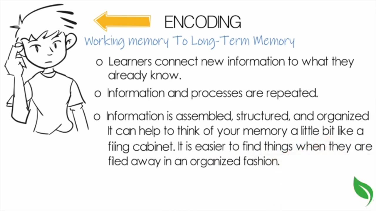 How Does Human Memory Work