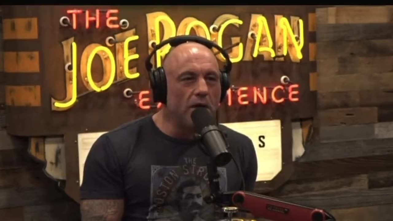 Will Rogan Finally Let Trump On His Shoe?