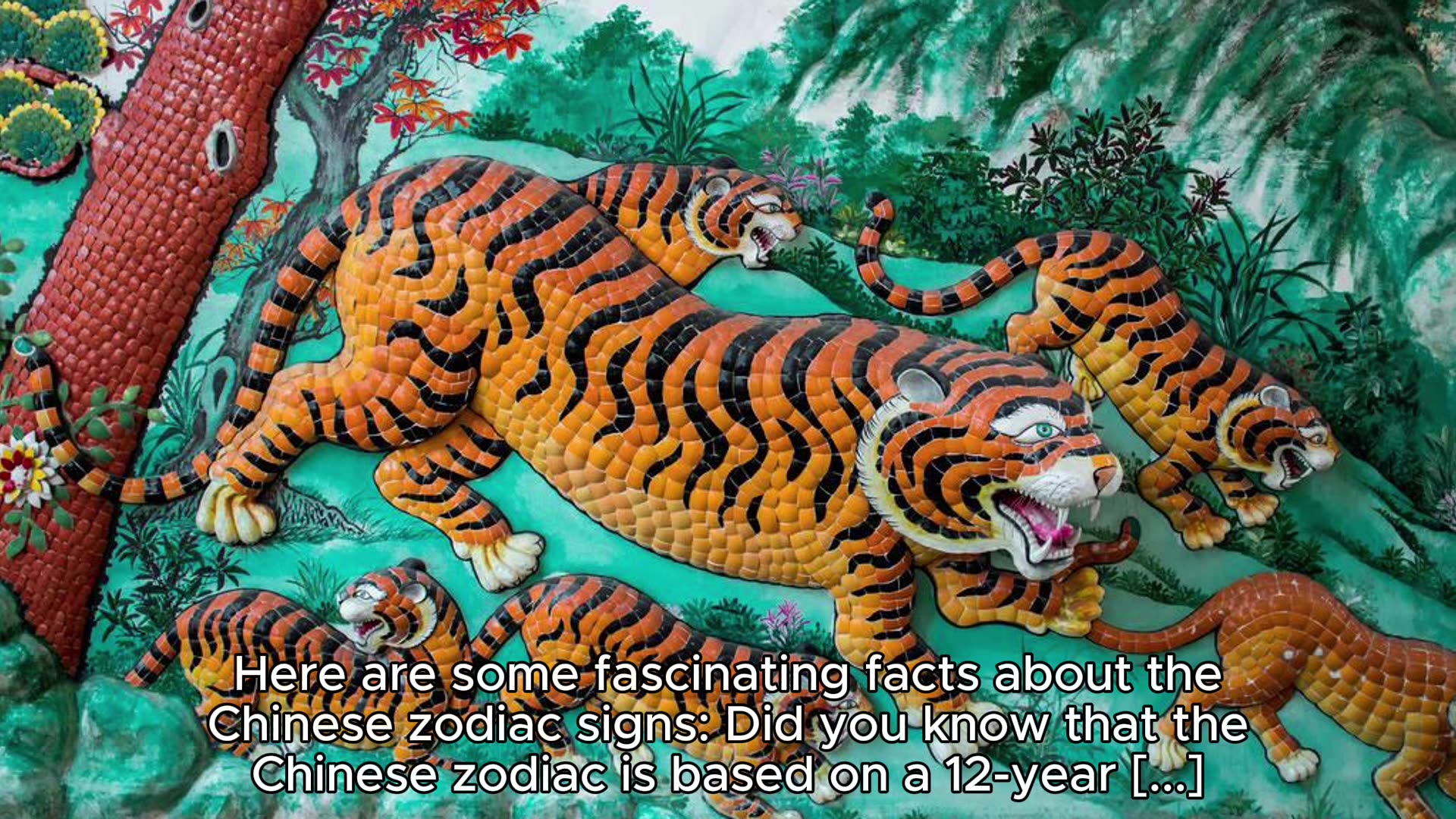 CHINESE ZODIAC SIGN FACTS