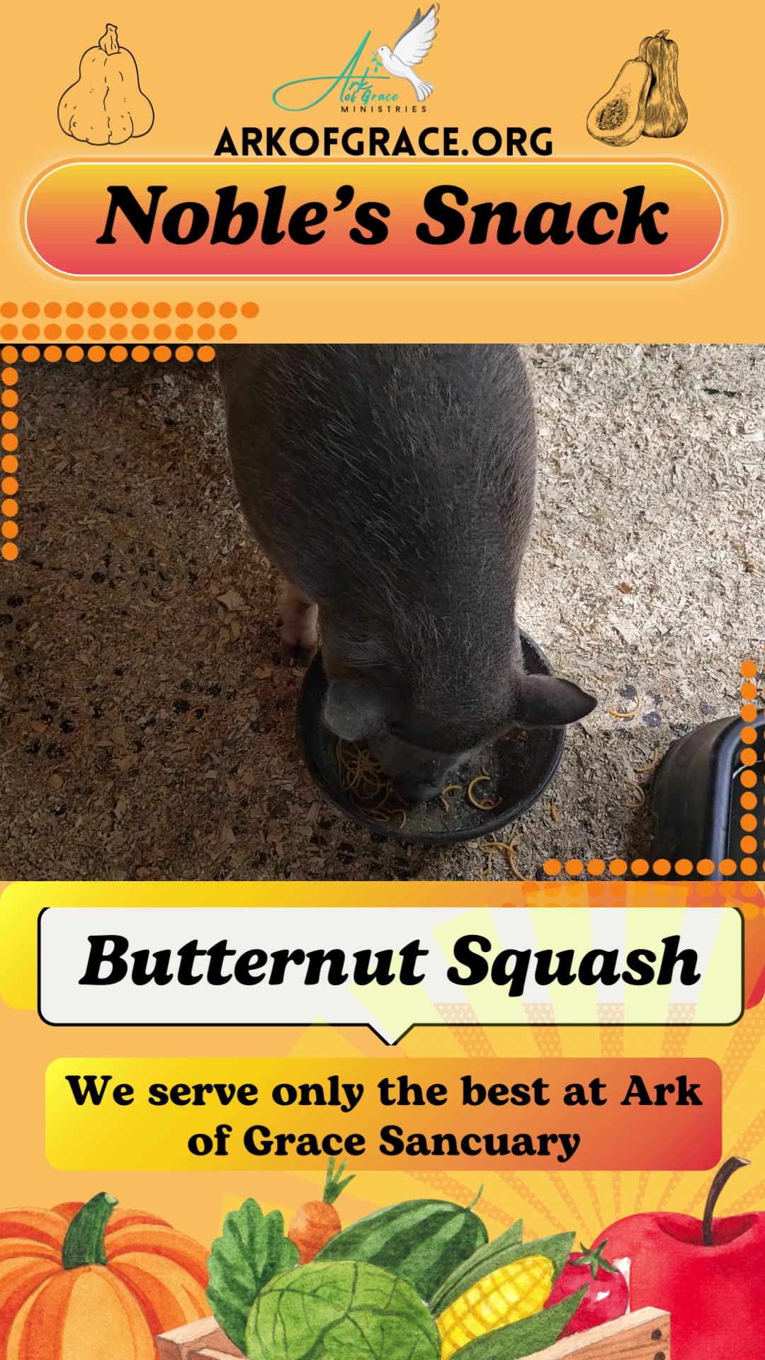 It's snack time for Noble