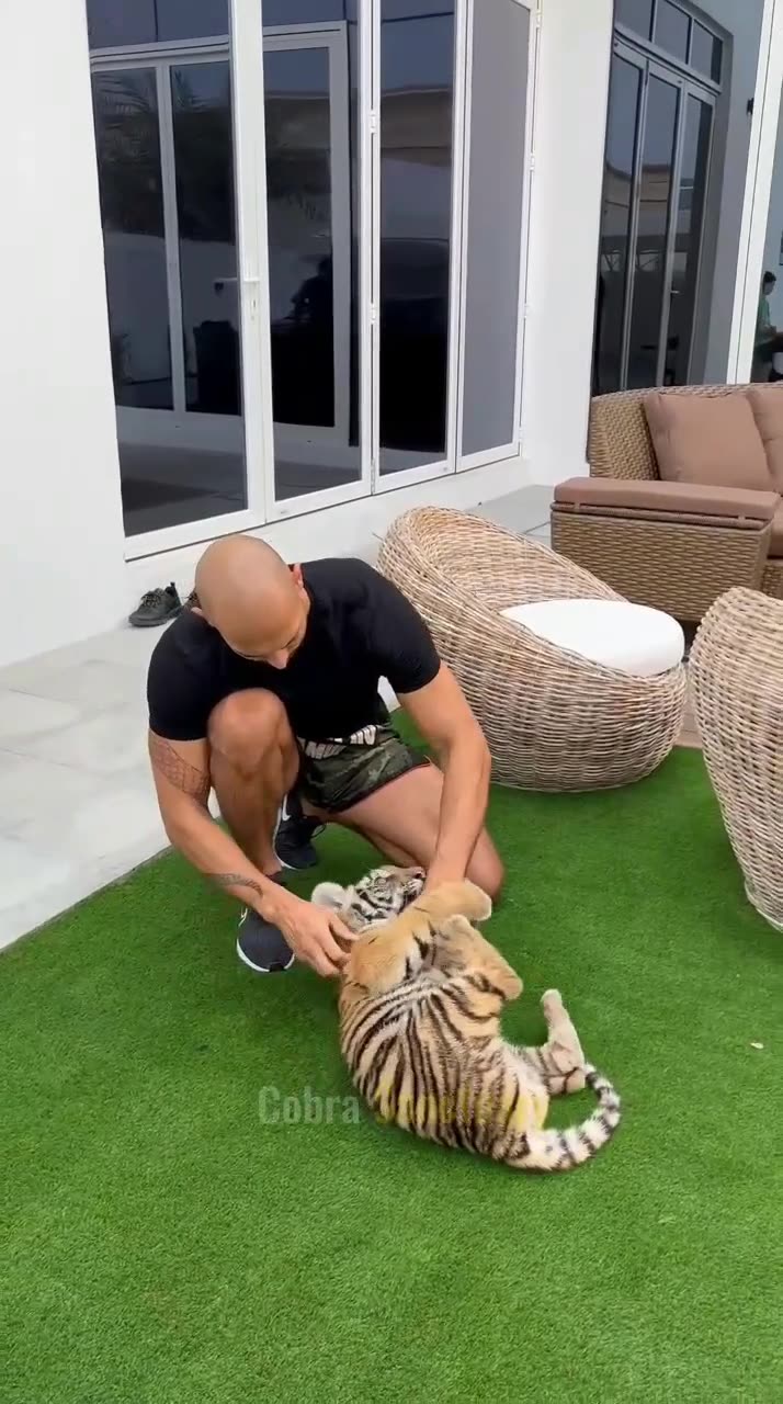 Tate ATTACKED by pet tiger at $30 Million MANSION