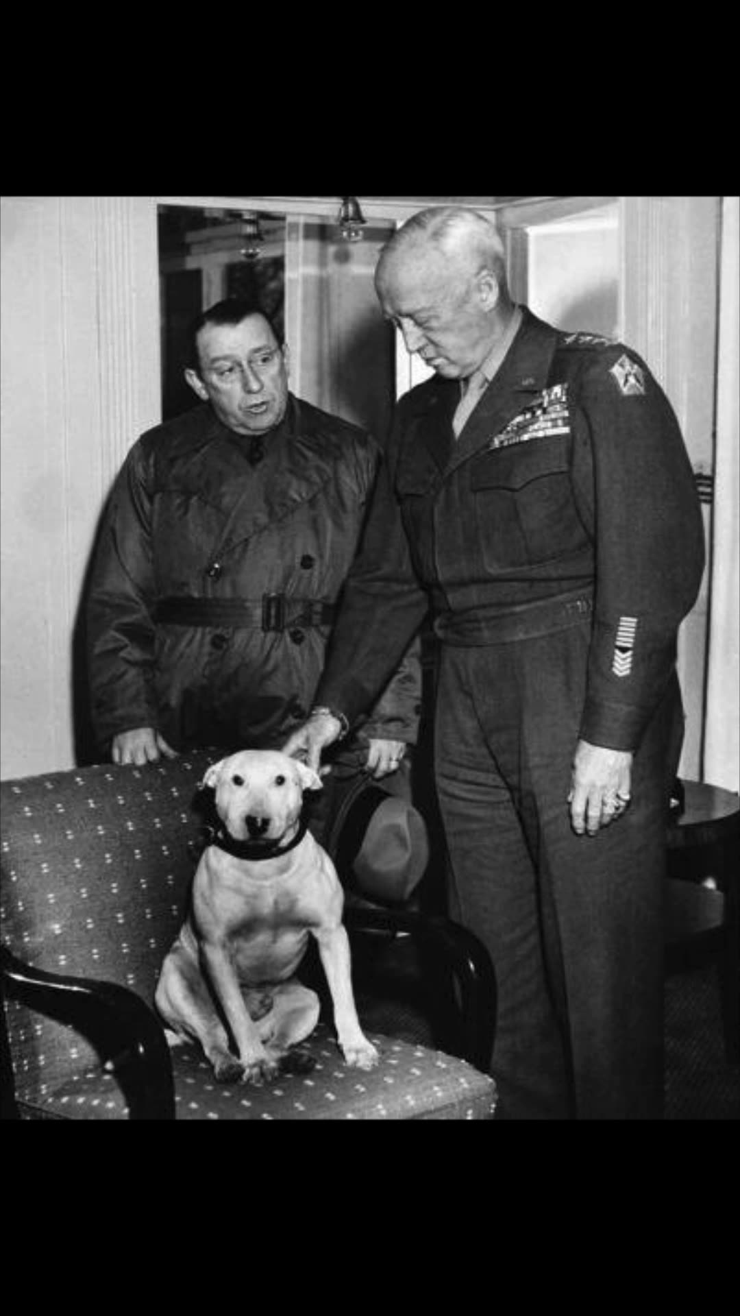 Feb 26, 2024 Gen. Patton quotation of the day #ww2 #war #leadership #creed