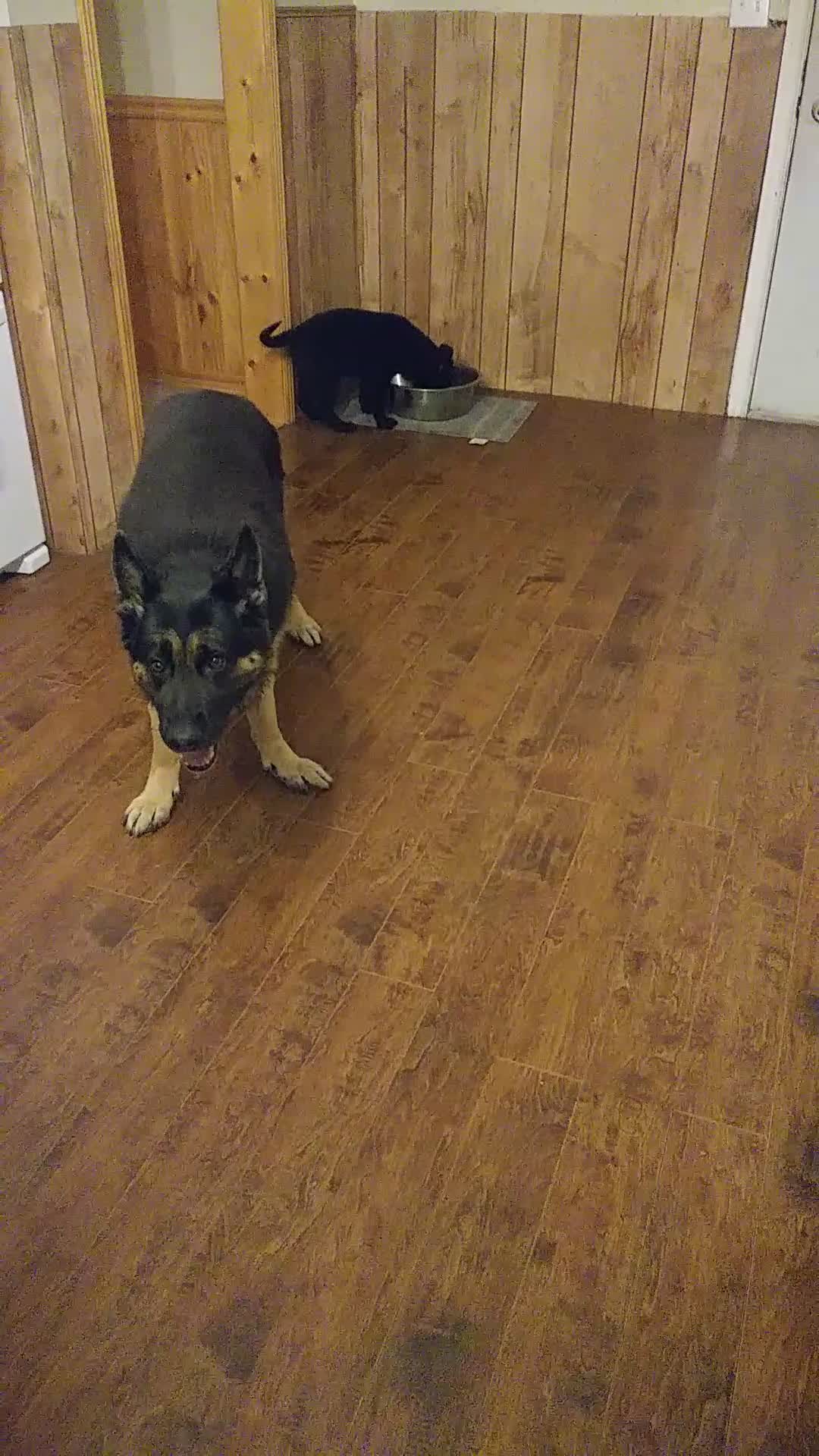 Little miss snatchy pants